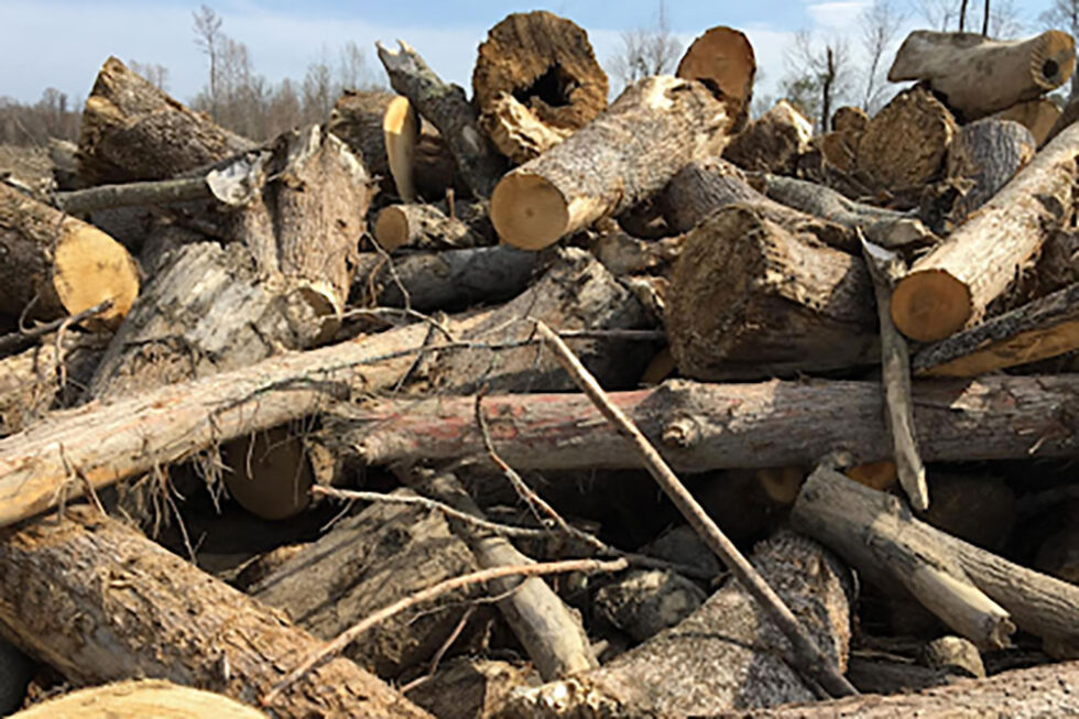 American Mulch Producers: Detroit’s Premium Mulch